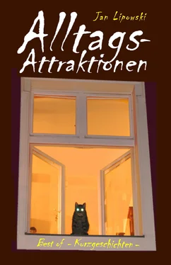 Jan Lipowski: Alltagsattraktionen читать онлайн бесплатно